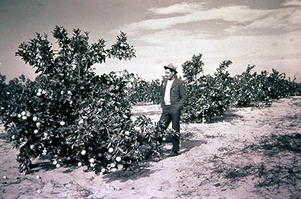 About Duda Farm Fresh Foods - Buy Fresh Fruits and Vegetables