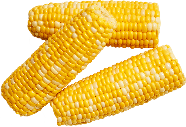 White & Yellow Sweet Corn For Sale | Corn Recipes | Duda Farm Fresh Foods