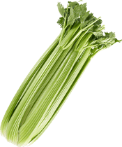 Buy Fresh Celery Sticks | Celery Nutrition & Recipes | Storing Celery